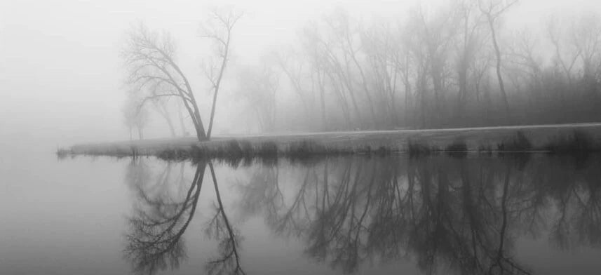 Black/White Grayscale Wall Decals - Get a Sleek, Modern Aesthetic ...