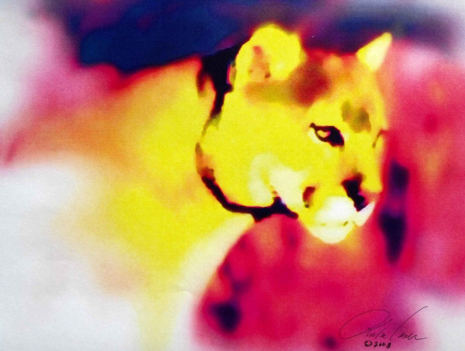 🐆 Cougar Glossy Poster | Mountain Lion Wildlife Wall Art — Wallhogs