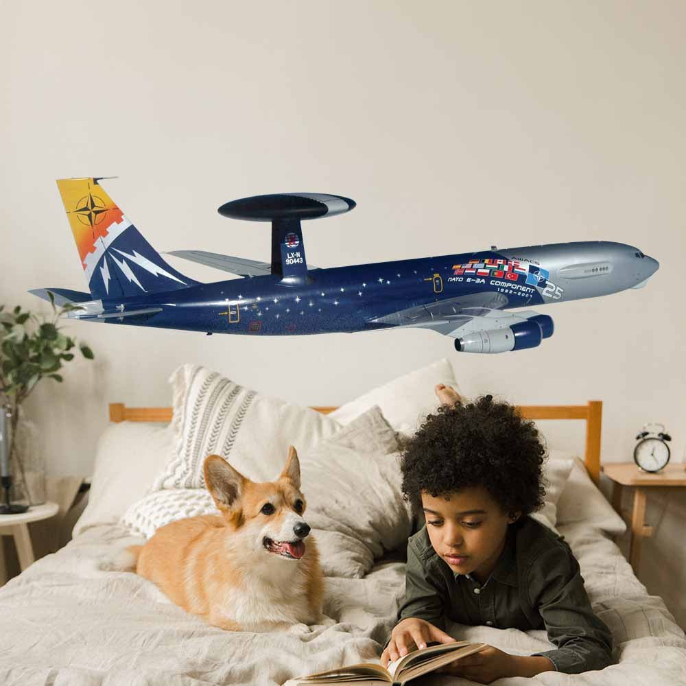 HR 25th Ann. AWACS Radar Plane Wall Decal | Wallhogs