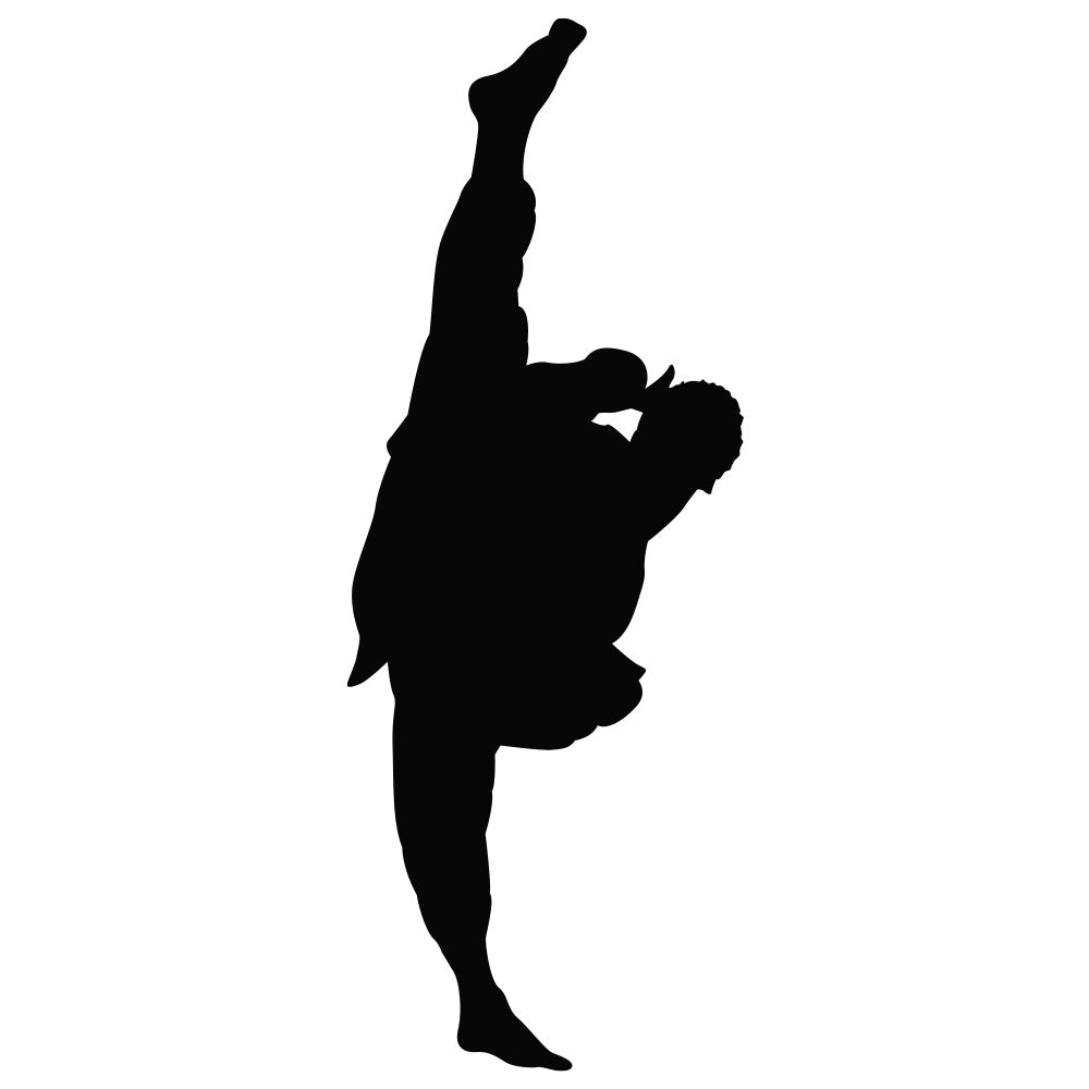 Martial Arts Extreme Side Kick Silhouette Wall Decal | Wallhogs