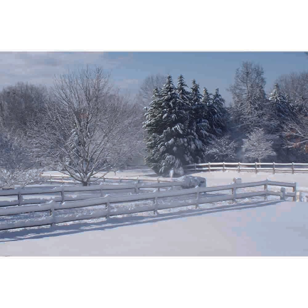 Cheryl Viar Snow Heaven Wall Decal | Wallhogs