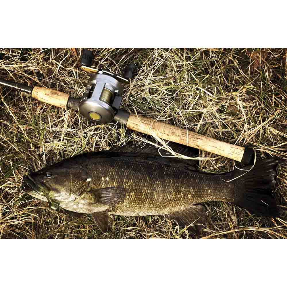 Catch of the Day Fishing Gloss Poster | Wallhogs