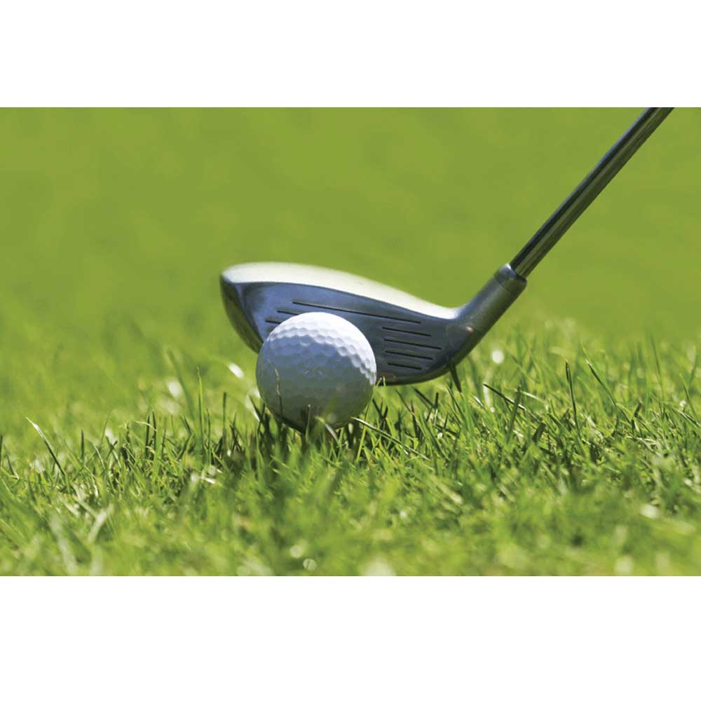 Fairway Drivin' Golf Wall Decal | Wallhogs