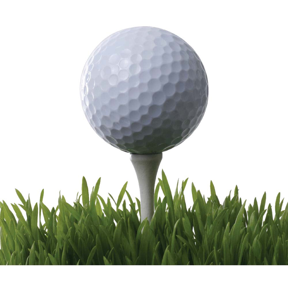 FORE! Golf Wall Decal | Wallhogs