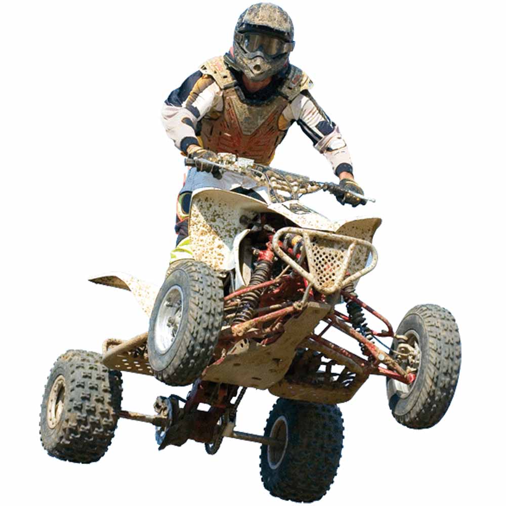 Quad Action Wall Decal | Wallhogs